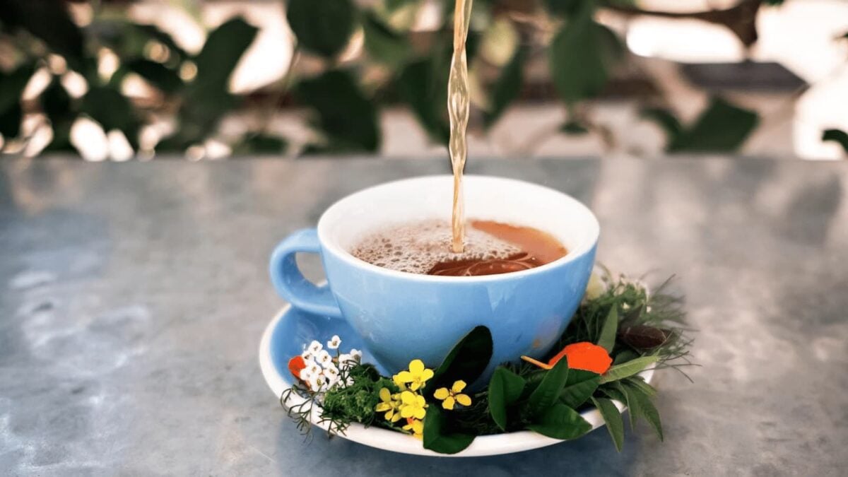 Cook St. Helena | St. Helena | Napa Valley's Main Street | CA