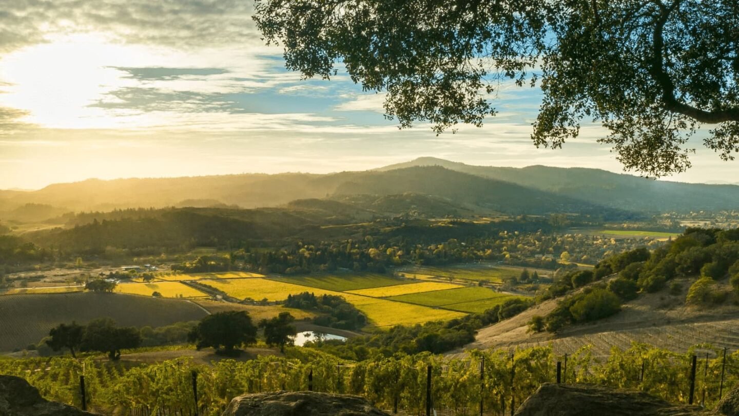 St. Helena Must-Dos for First-Time Visitors | St. Helena | Napa Valley ...