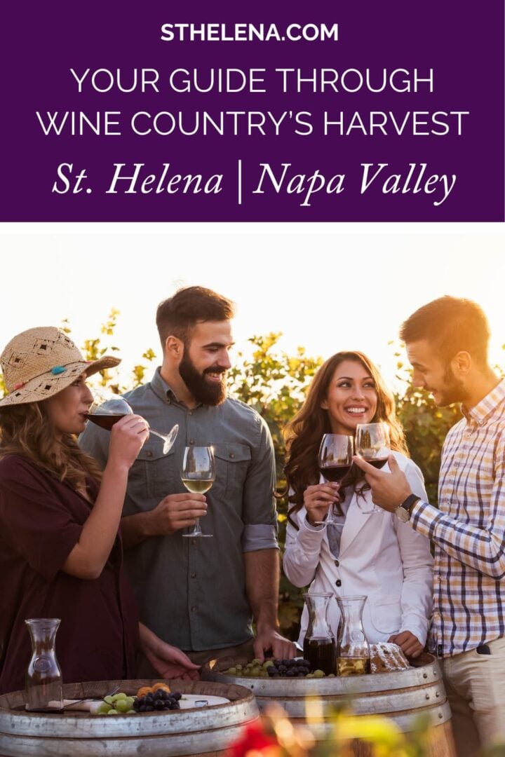 The Five Senses of Harvest | St. Helena | Napa Valley's Main Street | CA